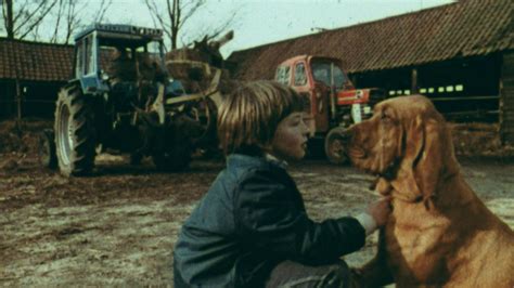 Watch Diogelwch Ar Y Fferm Safety On The Farm Online Bfi Player