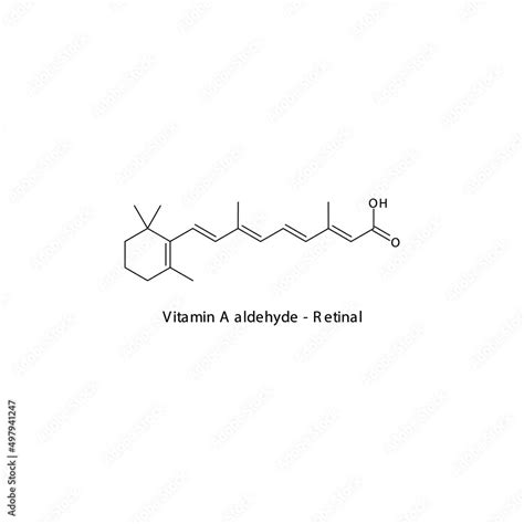 Retinal Skeletal Structure And Molecular Formula Organic Biomolecule Isolated Vector