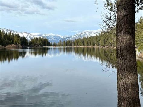 Los Angeles To Sequoia National Park Road Trip Best Route Stops