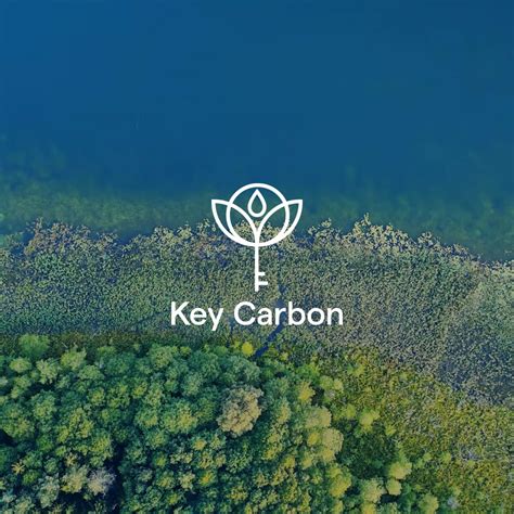 A Practical Guide To Afforestation Reforestation And Revegetation