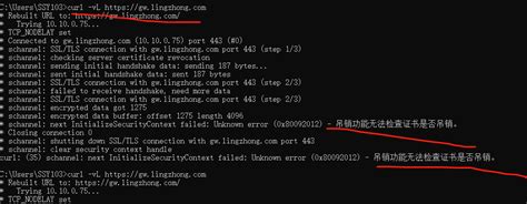 next InitializeSecurityContext failed Unknown error x 吊销功能无法检查证书是否吊销 CSDN博客