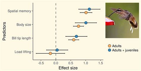 Linear Regression Models