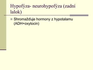 Prezentace O Hormonech Jejich Výskyt A Funkce Ppt
