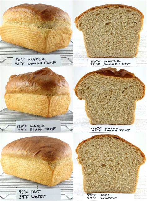 Best 13 Bread Baking Temperature For All Types Of Bread Comprehensive