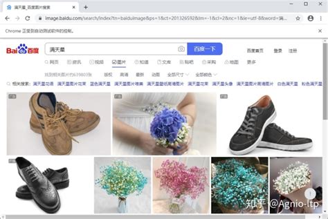 Python爬取图片并保存爬虫：大量爬取百度图片——python Csdn博客
