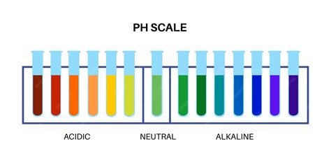 Ph 스케일 다이어그램 프리미엄 벡터