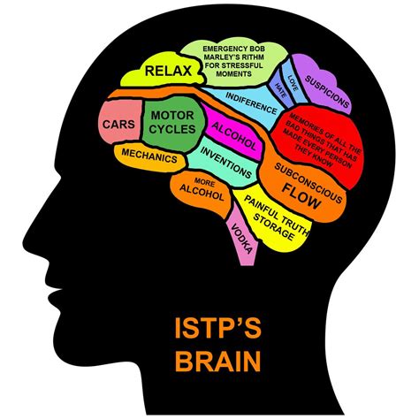 Mbti In Real Life Istp Istp Personality Myers Briggs Personality
