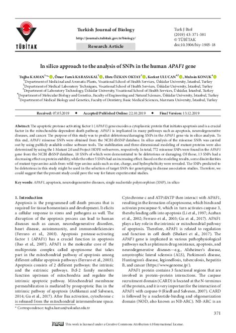 Pdf In Silico Approach To The Analysis Of Snps In The Human Apaf1 Gene