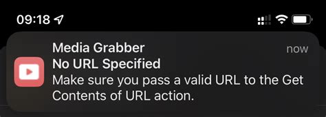No Url Specified · Issue 27 · Mediagrabberios Workflow · Github