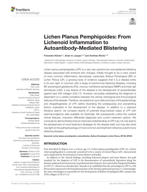 Pdf Lichen Planus Pemphigoides From Lichenoid Inflammation To