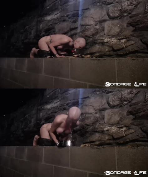 Bondagelife Brutalmaster Rachel Greyhound Cage Time Page 2