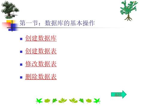 第十四讲 简单数据库编程 word文档在线阅读与下载 无忧文档