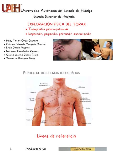 ExploraciÓn FÍsica Del TÓrax Toporafía Pleuro Pulmonar Inspección