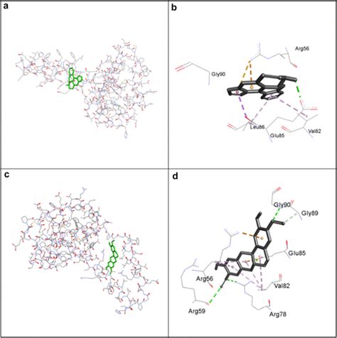Binding Interactions Of Anonaine And Coreximine In Bcl W A Download Scientific Diagram