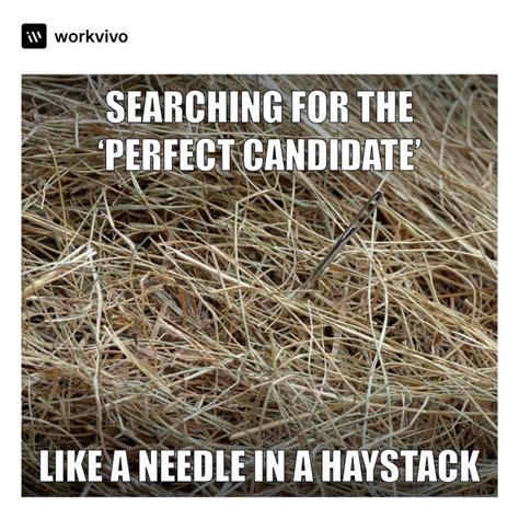 Nader Mohamed On Linkedin Talent Management Challenges