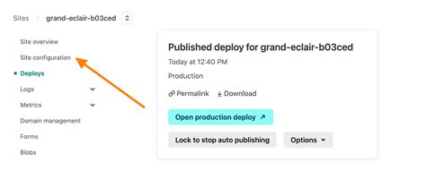 how to build a static website with netlify publii