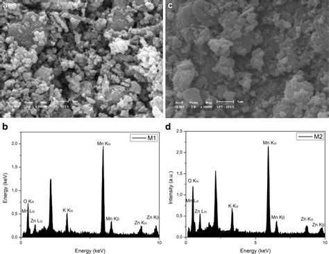A Sem Image Of M1 B Edx Spectrum Of M1 C Sem Image Of M2 D Edx
