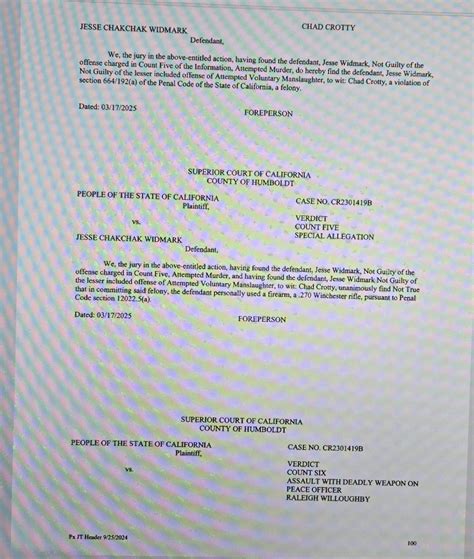 John Chiv Verdict In Brandon And Jesse Widmark Attempted Murder Case