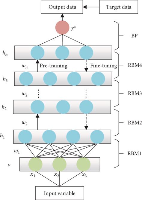 deep belief network structure download scientific diagram