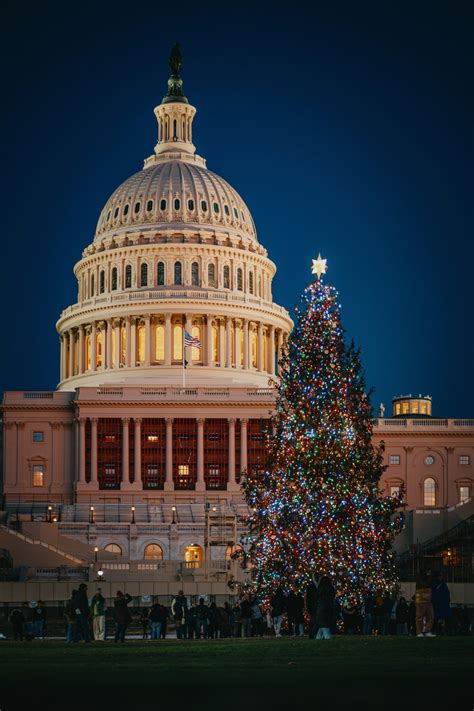 Ice Festival At Gaylord National Harbor D C Christmas Overnight Tours