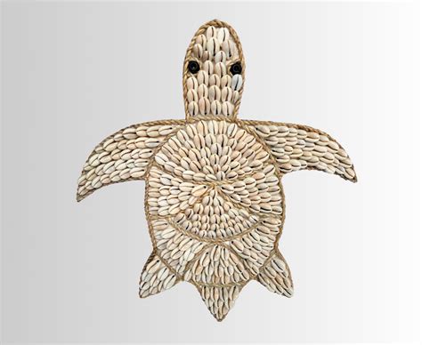 Turtle Shell Wall Art Shell Wall Decor Wall Decor Nursery Decor