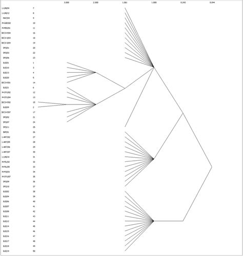 hierarchical clustering of equivalence matrix—subgroup cliques of