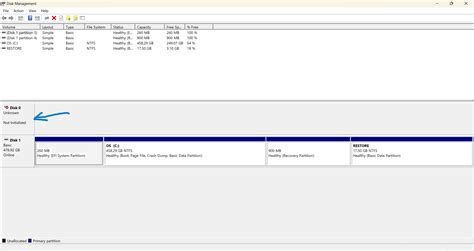 Disk 0 Unknown Not Initialized Rdatarecovery