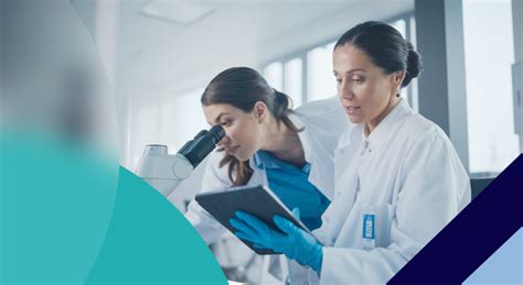 The New Kneat Gx More Than Validation Kneat