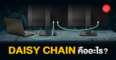 Daisy Chain คือ อะไร มีขั้นตอนและวิธี Setup Monitor ยังไงบ้าง