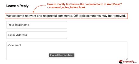 How To Modify The Notes Shown Before The Wordpress Comment Form