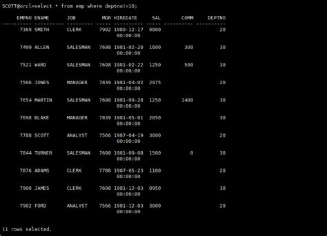 02、oracle过滤和排序数据oracle 过滤器 Csdn博客