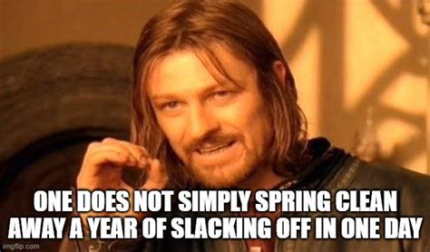 Funny Spring Cleaning Memes For Moms