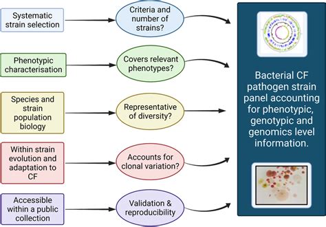 Core Principles And Relevant Questions To Aid The Design Of Systematic