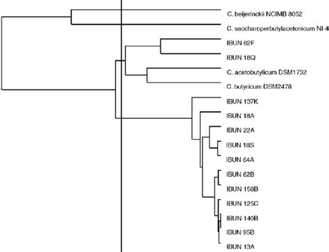 Hierarchical Cluster Analysis Tree Based On Multiple Correspondence Download Scientific Diagram