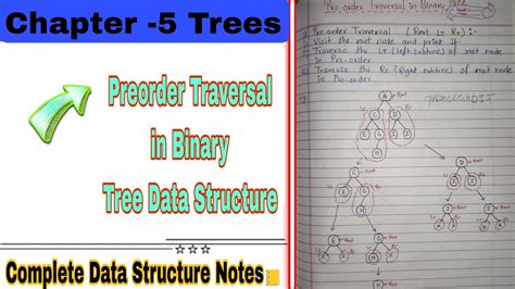 5 6 preorder traversal in binary tree tree data structure