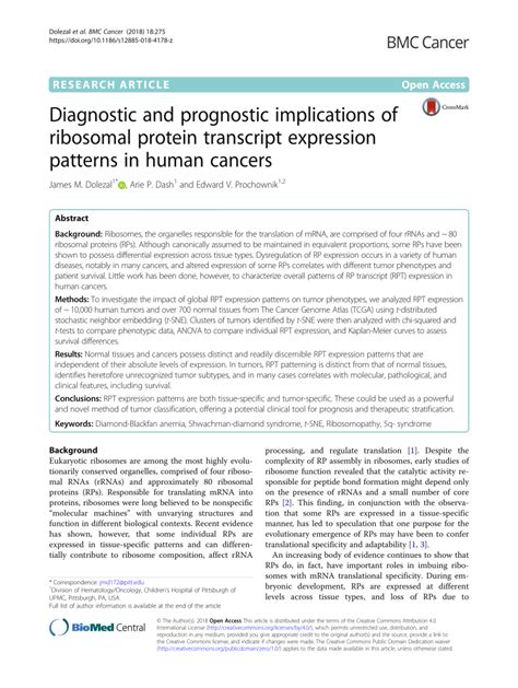 Pdf Diagnostic And Prognostic Implications Of Ribosomal Protein Transcript Expression Patterns