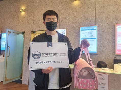 코리안숏헤어 연두 유기견입양 유기묘입양 강아지입양 소형견입양 중형견입양 대형견입양 말티즈입양 말티푸입양 비숑프리제입양 미니비숑프리제입양 포메라니안입양 푸들입양 골든리트리버