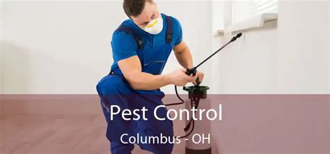 Pest Control Columbus Oh Local Pest Control Services