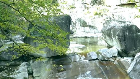 마음이 편안해지는 잔잔한 계곡물소리자연소리아름다운 자연의 풍경 힐링 힐링사운드백색소음 수면유도 자연물소리 Youtube