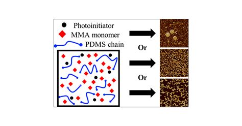 In Situ Investigations Of Microstructure Formation In Interpenetrating Polymer Networks