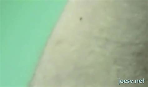 Strong Gay Solo Handjob