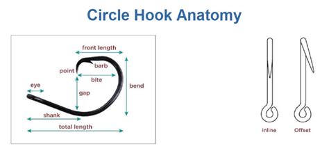 Circle Hook Size Chart A Comprehensive Guide For Anglers Active At The Beach