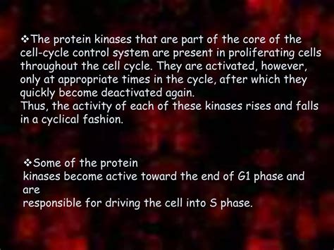 Control Of Cell Cycle Pptx