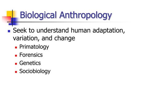 Ppt The Social Sciences Anthropology Powerpoint Presentation Free