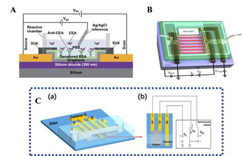 A Schematic Representation Of The Solution Gate Fet Biosensor Download Scientific Diagram