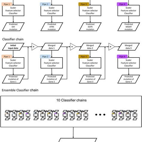The Structure Of Independent Classifiers For The Binary Relevance And