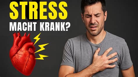 So Zerstört Stress Deine Gesundheit Die Wahrheit Youtube
