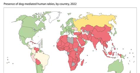 Rabies Hotspots Where Youre Most Likely To Be Infected With Deadly
