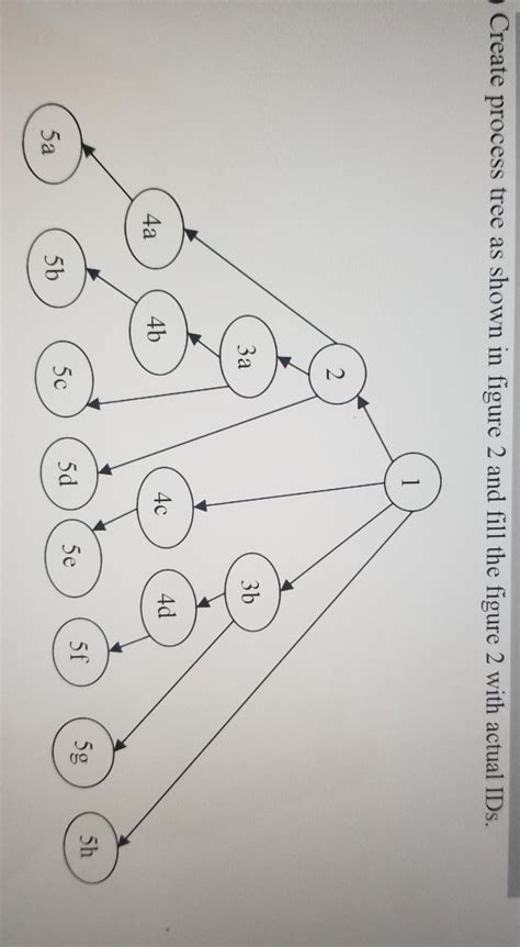 Solved Create A Process Tree As Shown In Linux Using C Chegg Com