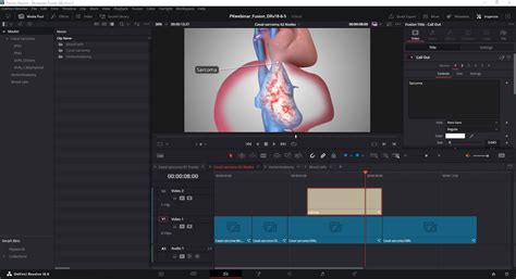 Node-based Compositing with DaVinci Resolve’s Fusion - TVASurg - The ...